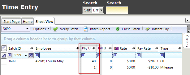 Time Entry - Paycheck Correction – Avionte Classic